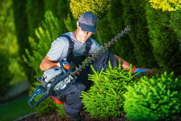 Shrubs and Hedges Landscaping | York County